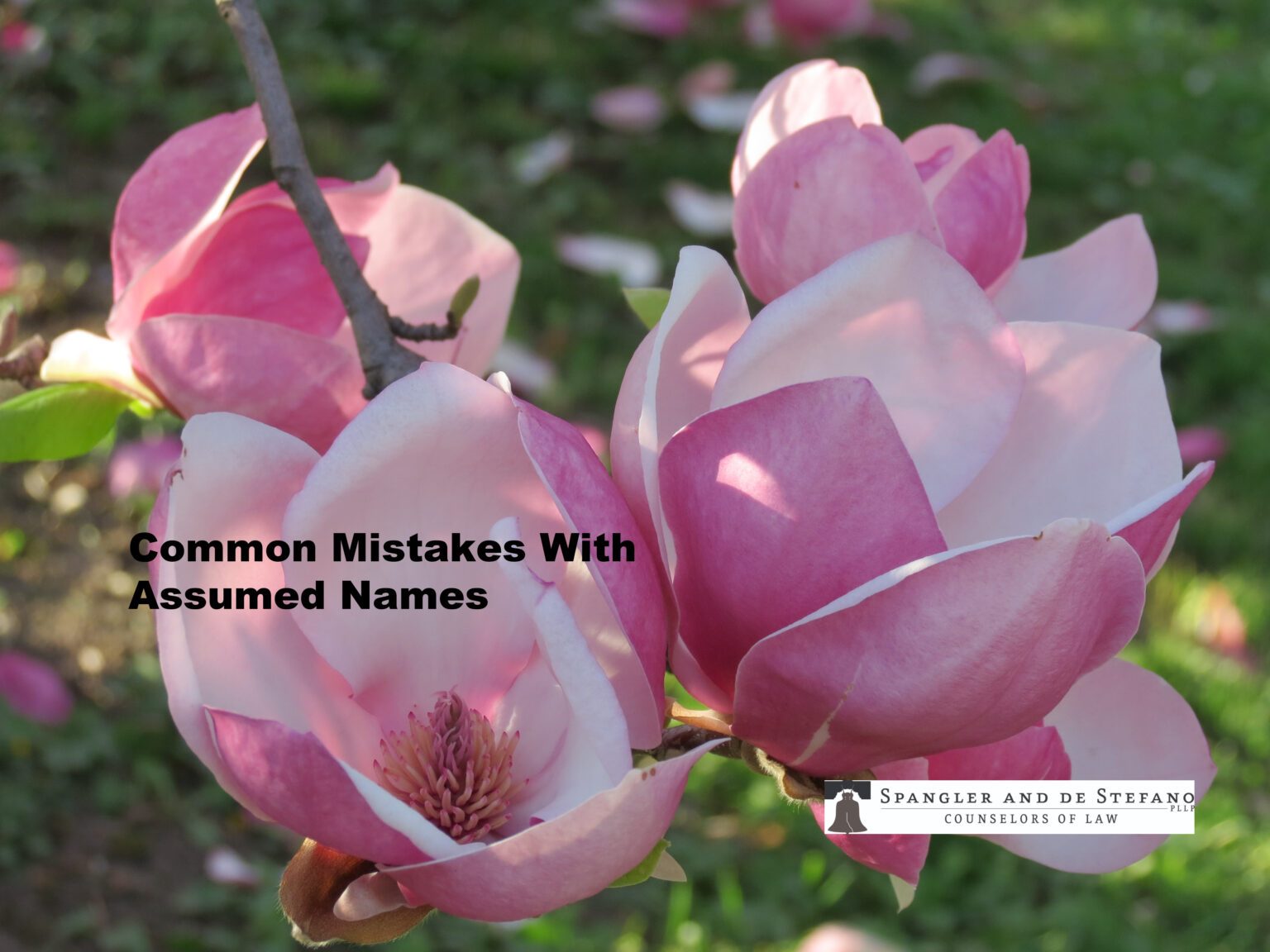 Common Mistakes With Assumed Names – Spangler and de Stefano PLLP