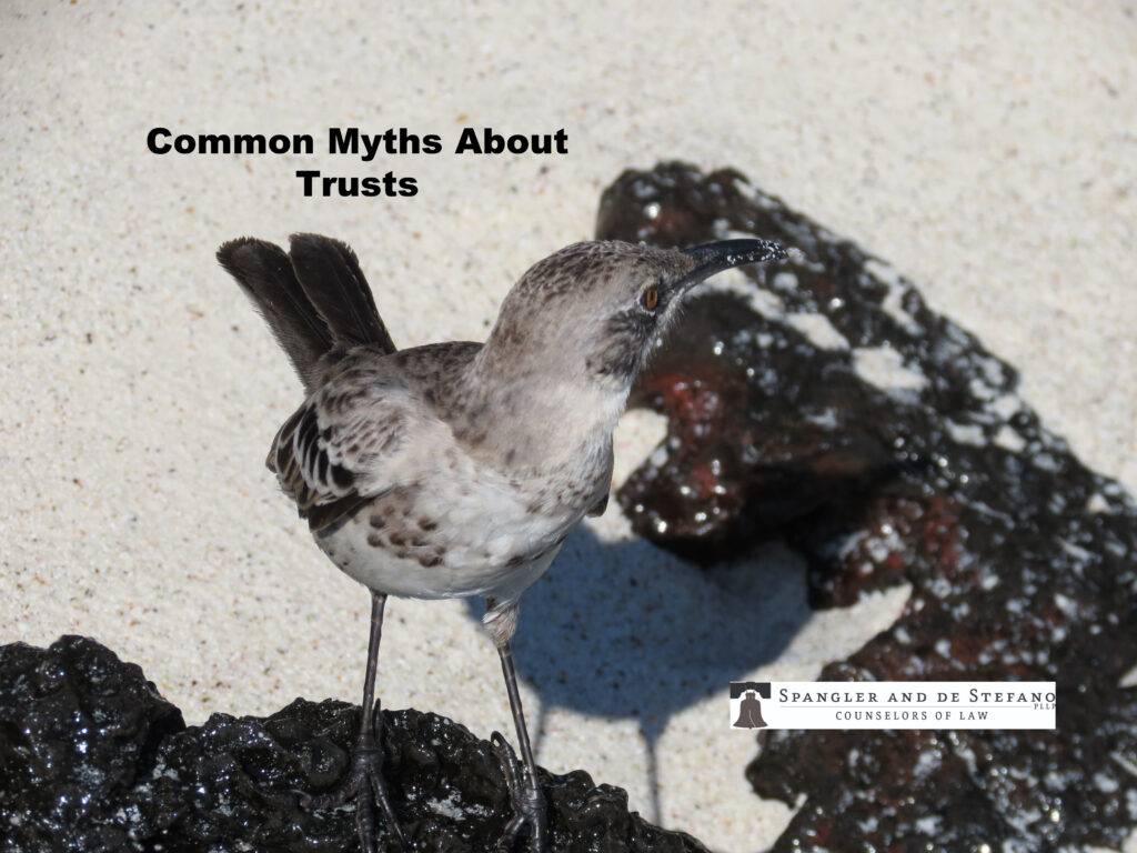 Common Myths About Trusts – Spangler and de Stefano PLLP